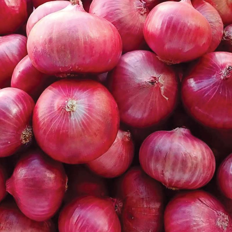Shop Onions Online in Qatar | www.ahmarket.com
